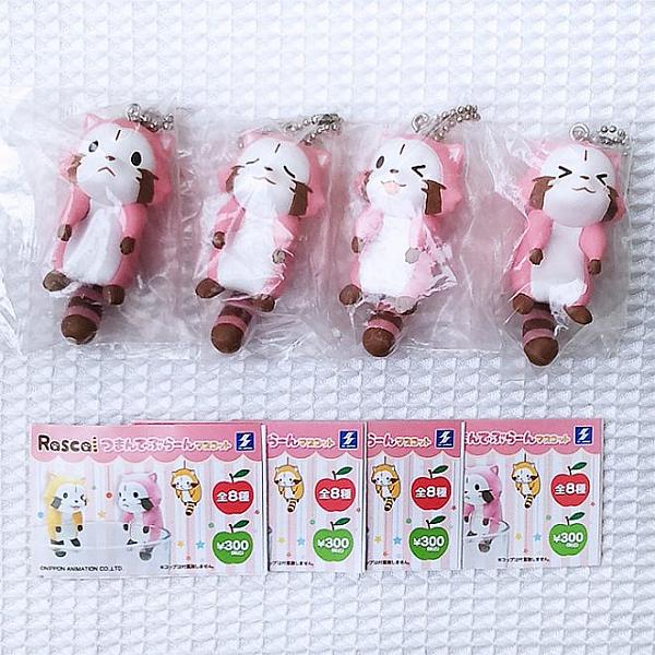 กาชาปอง Rascal the Raccoon แรคคูนเกาะแก้วห้อยไข่ปลา (S4) - PiggyGaGa กาชาปอง โมเดล ของสะสมจากญี่ปุ่น