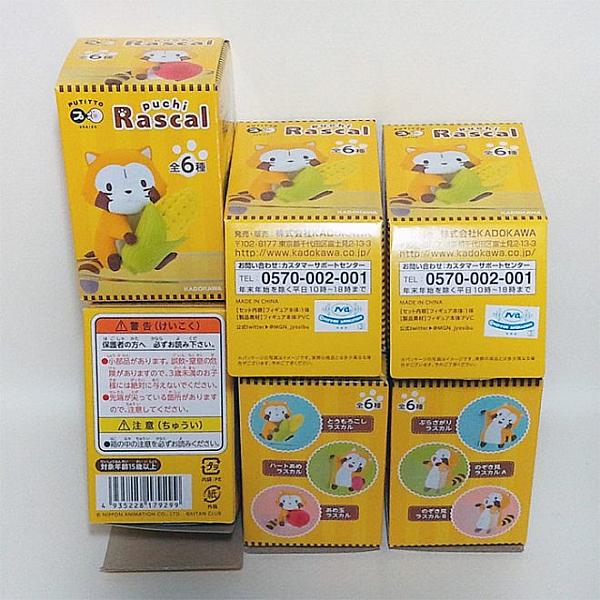 กาชาปอง Puchi Rascal แรคคูนเกาะแก้ว PUTITTO Series - PiggyGaGa กาชาปอง โมเดล ของสะสมจากญี่ปุ่น