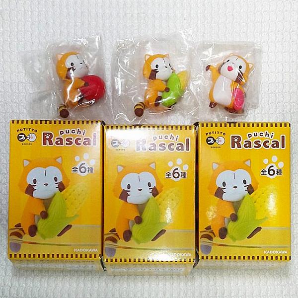 กาชาปอง Puchi Rascal แรคคูนเกาะแก้ว PUTITTO Series (S3) - PiggyGaGa กา ...