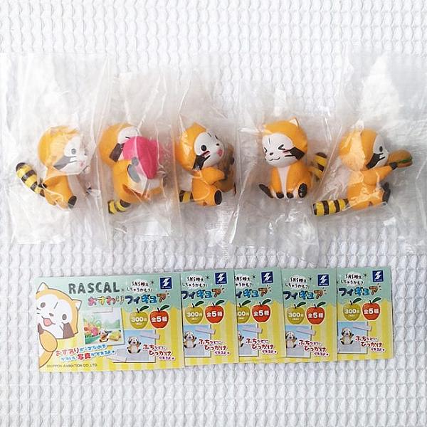 กาชาปอง Rascal the Raccoon แรคคูนนั่งเกาะแก้ว - PiggyGaGa กาชาปอง โมเดล ของสะสมจากญี่ปุ่น